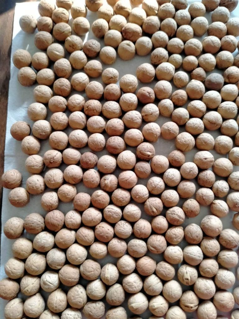 Why is the Buddha Chitta Mala used? - Nepal Trekking Experts